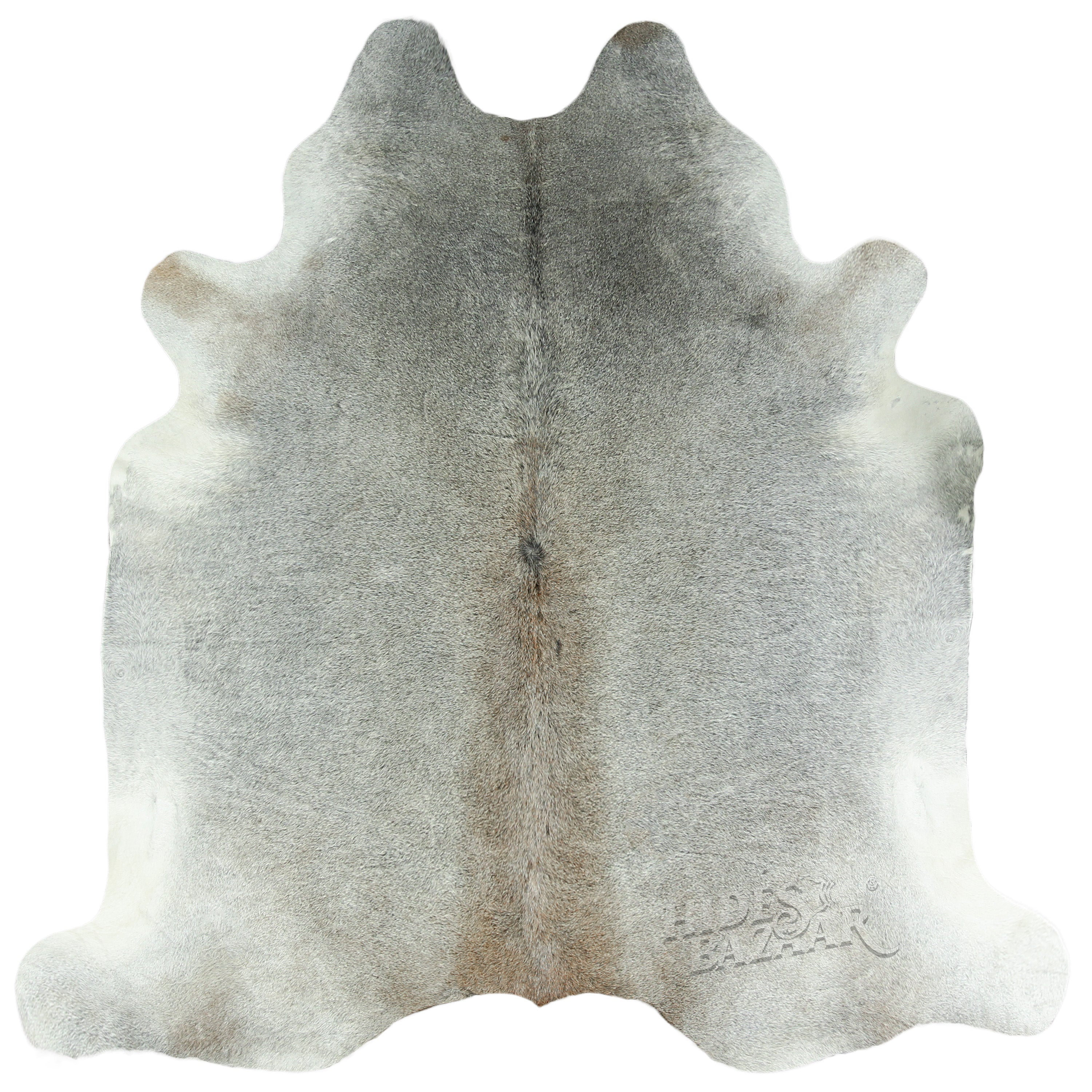 Foundry Select Thearsa Leather Rug | Wayfair