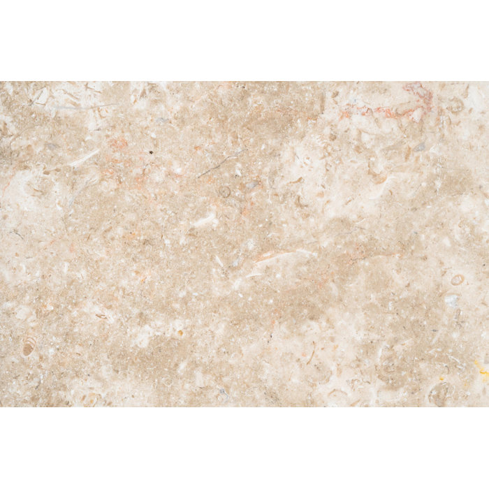 Stone & Tile Shoppe, Inc. 12" x 12" Limestone Stone Look Wall & Floor ...