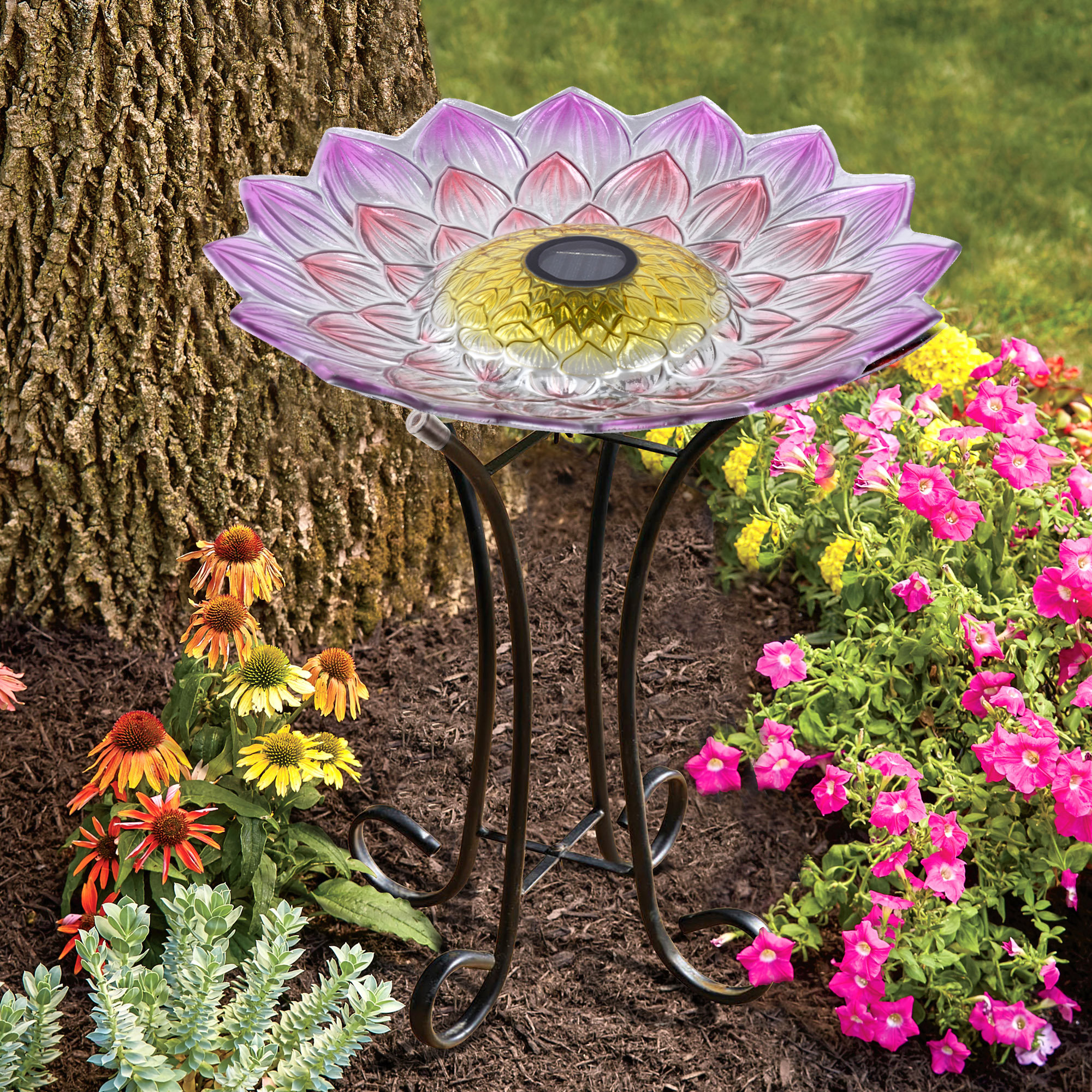 Hi-Line Gift Ltd. Glass Solar Lighted Birdbath | Wayfair