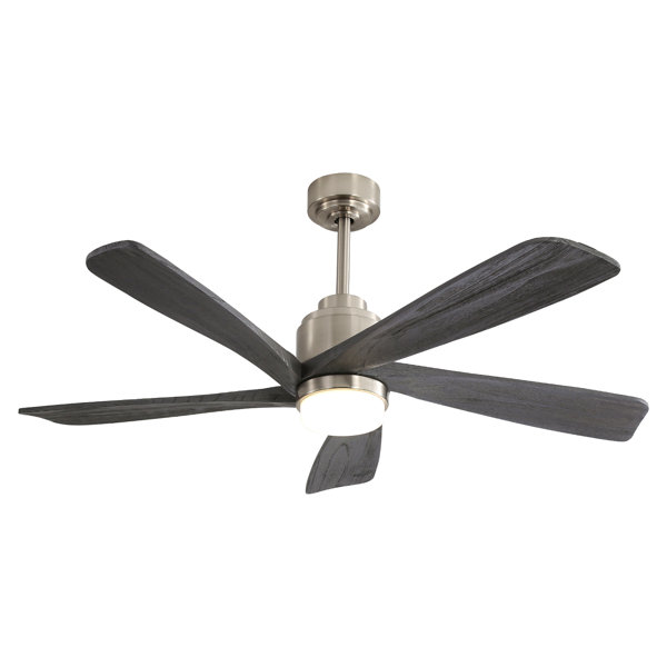 Ebern Designs 52 Inch Indoor Ceiling Fan With Dimmable Led Light 5 ...