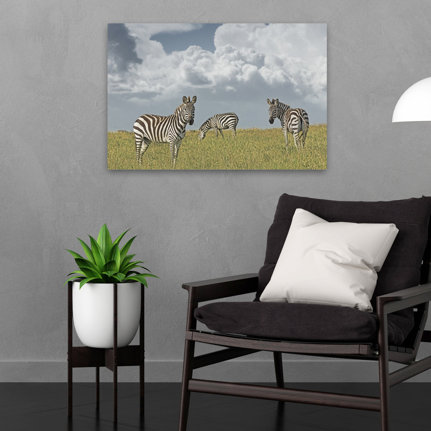Union Rustic Zebra Gathering Nature Cloudy Animal Photography Art ...
