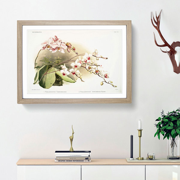 East Urban Home Magnolia Flowers Illustration Tab. 68 by Frederick ...