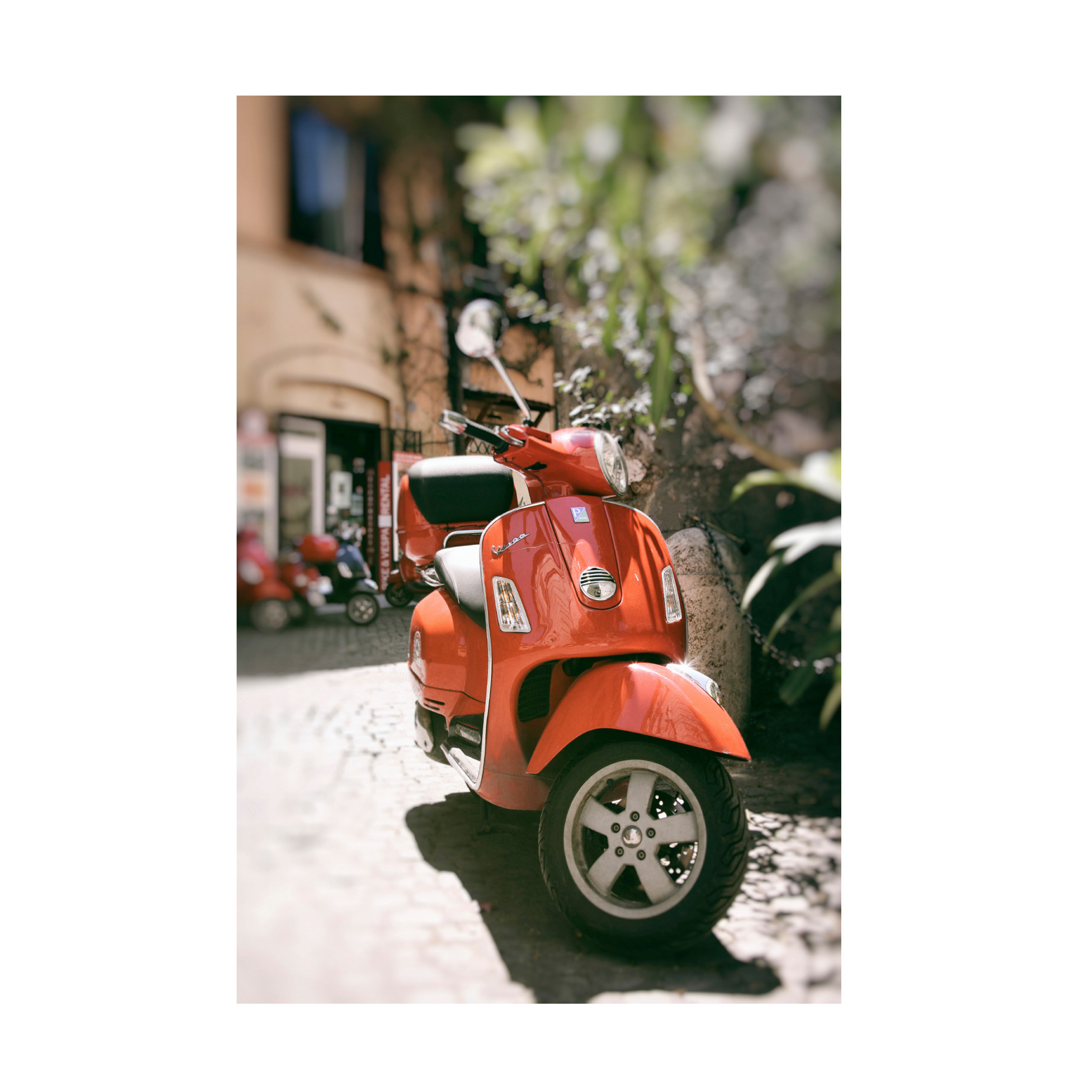 Winston Porter Carina Okula When In Rome Ride A Vespa Canvas Art ...