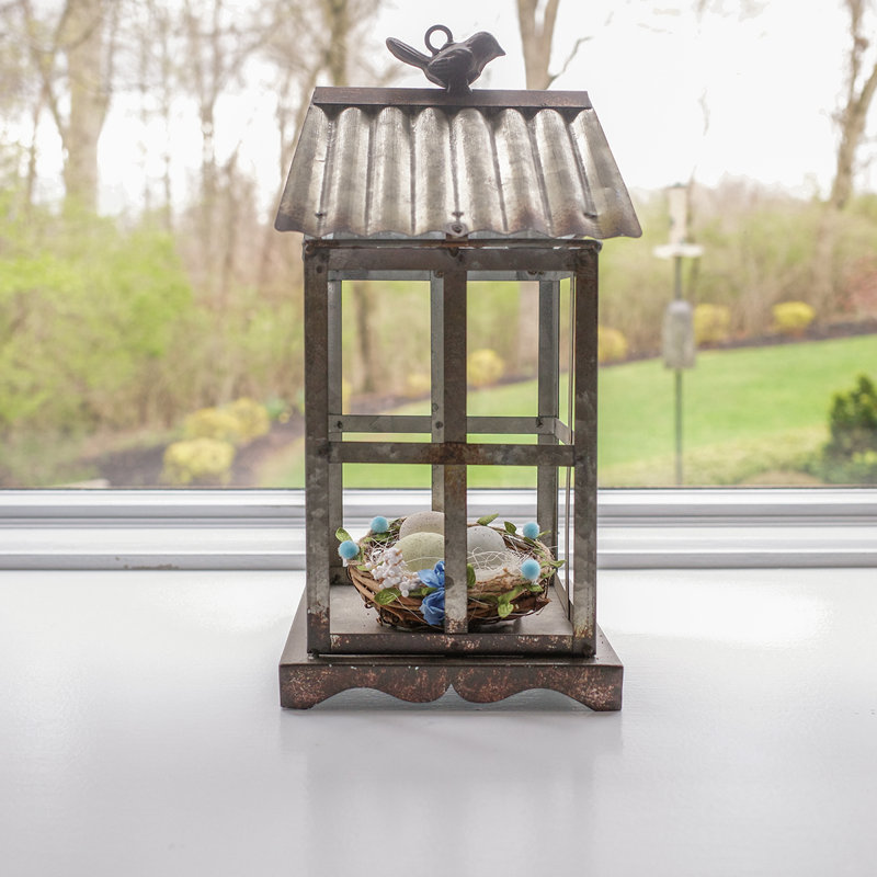 Arlmont & Co. Decorative Metal Bird Cage Iron Lantern Rustic Outdoor ...