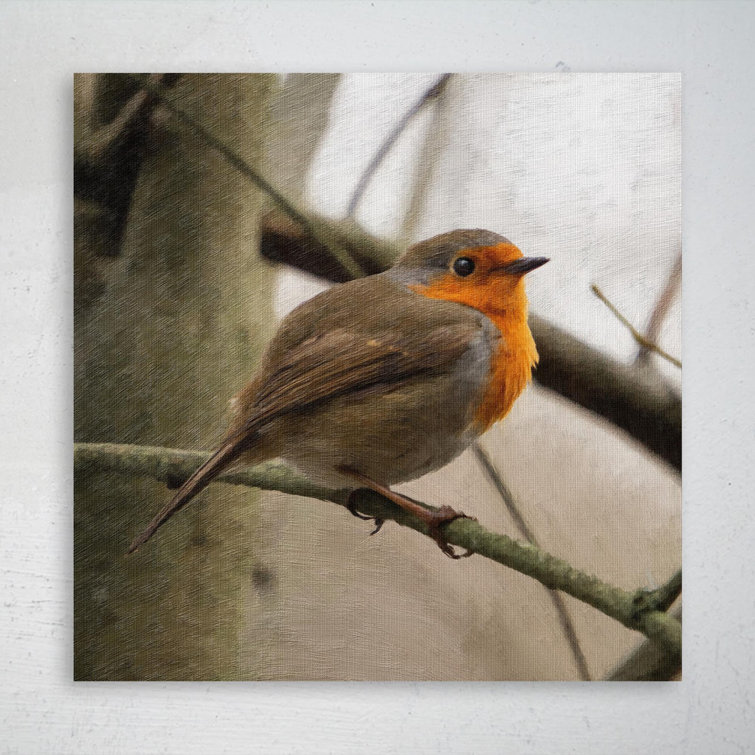 Latitude Run® «European Robin Bird Red Chest On Twig», reproduction d ...