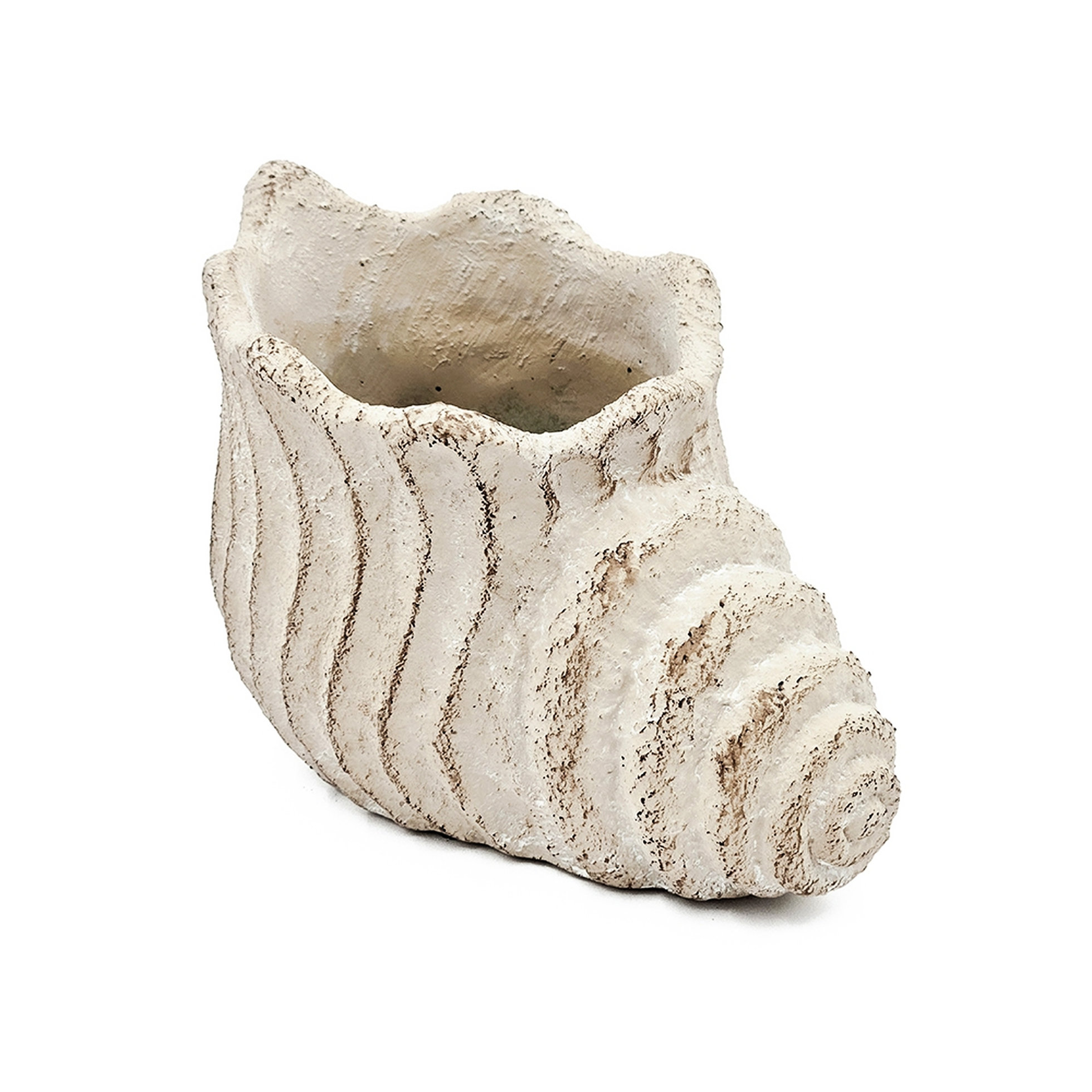 Ophelia & Co. 9X5.5X5.7 Inches Shell Planter In Beige Color Crafted By ...