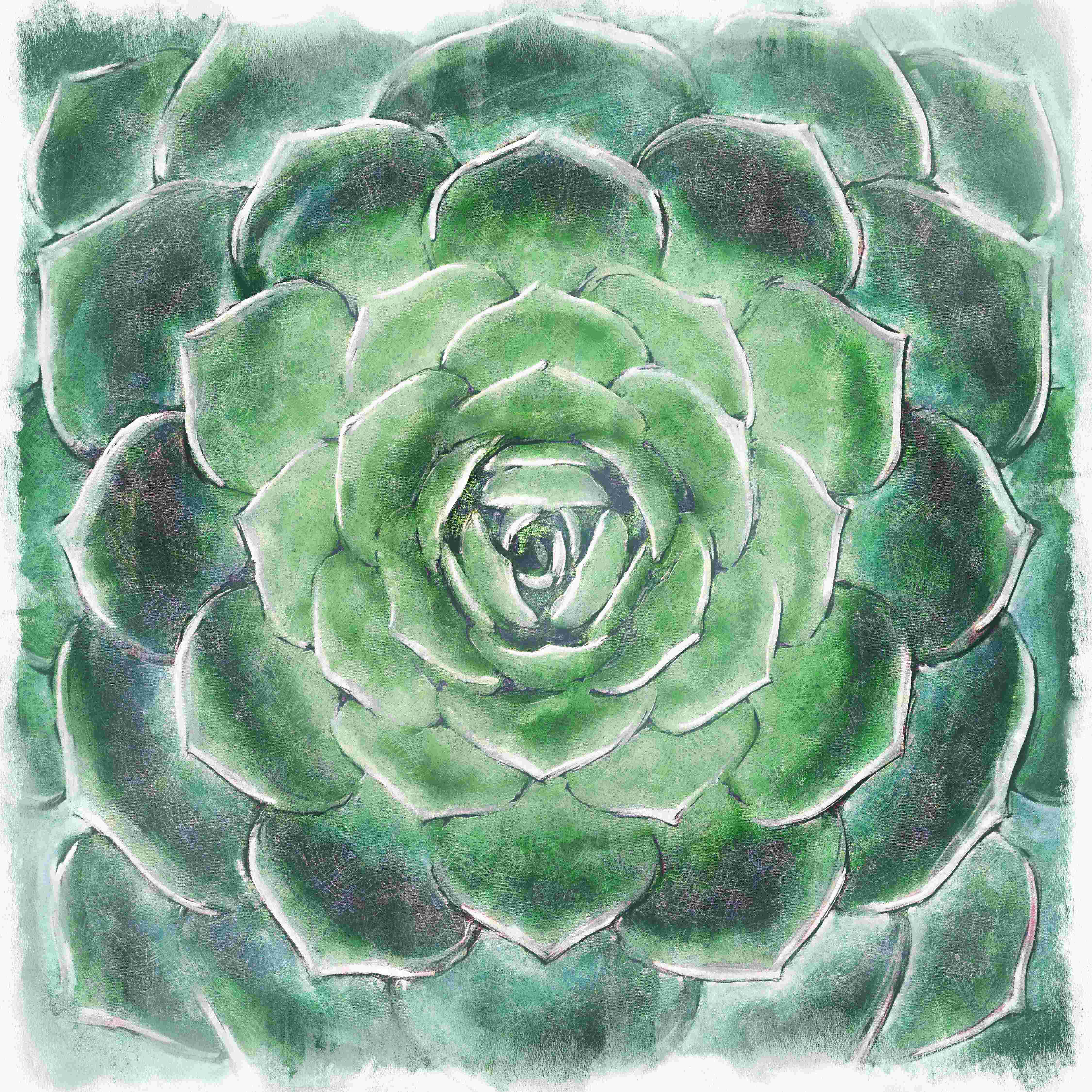 Bungalow Rose Succulent Paint 6 - Wayfair Canada