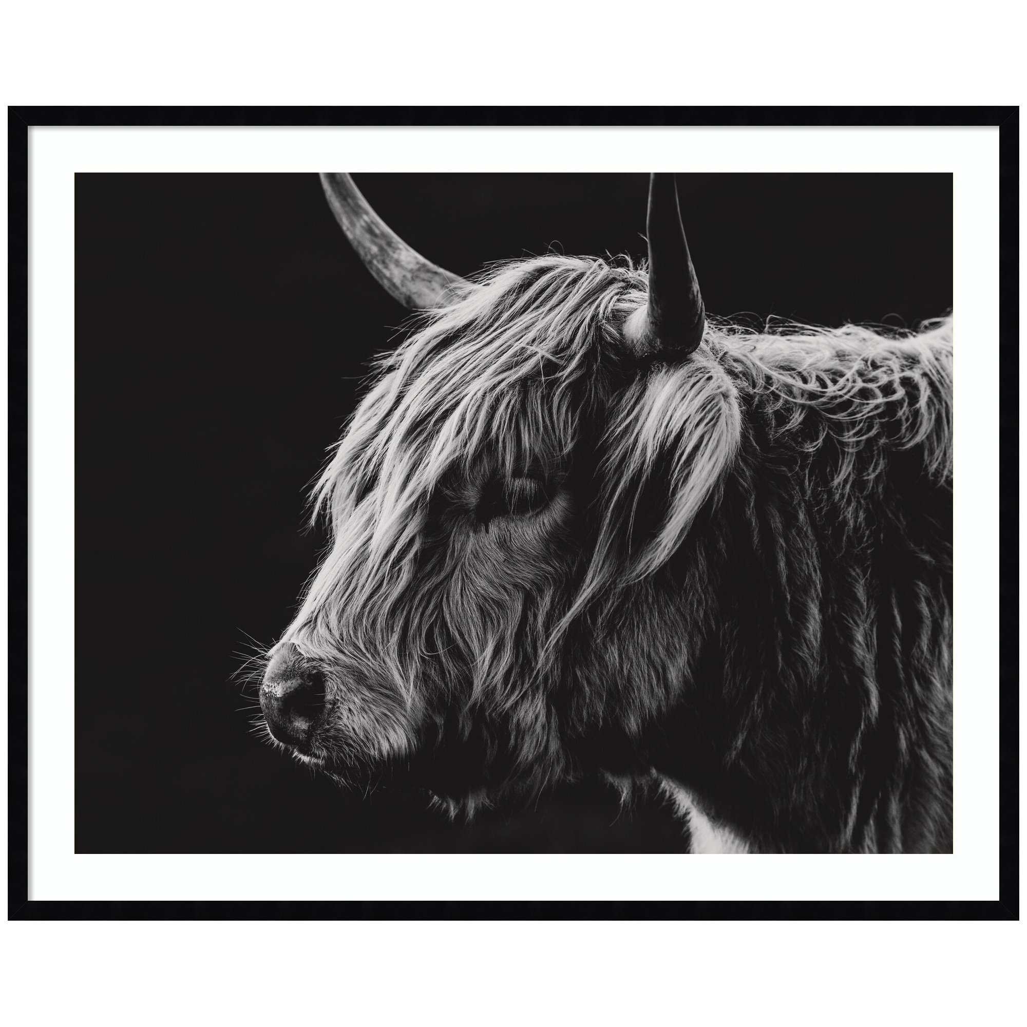Lark Manor Scottish Highland by Trevoux Framed Wall Art Print - Wayfair ...