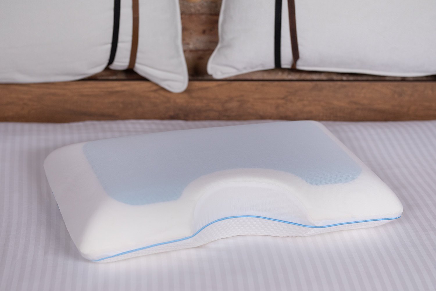 COMFYT Memory Foam Queen Plush Support Pillow | Wayfair
