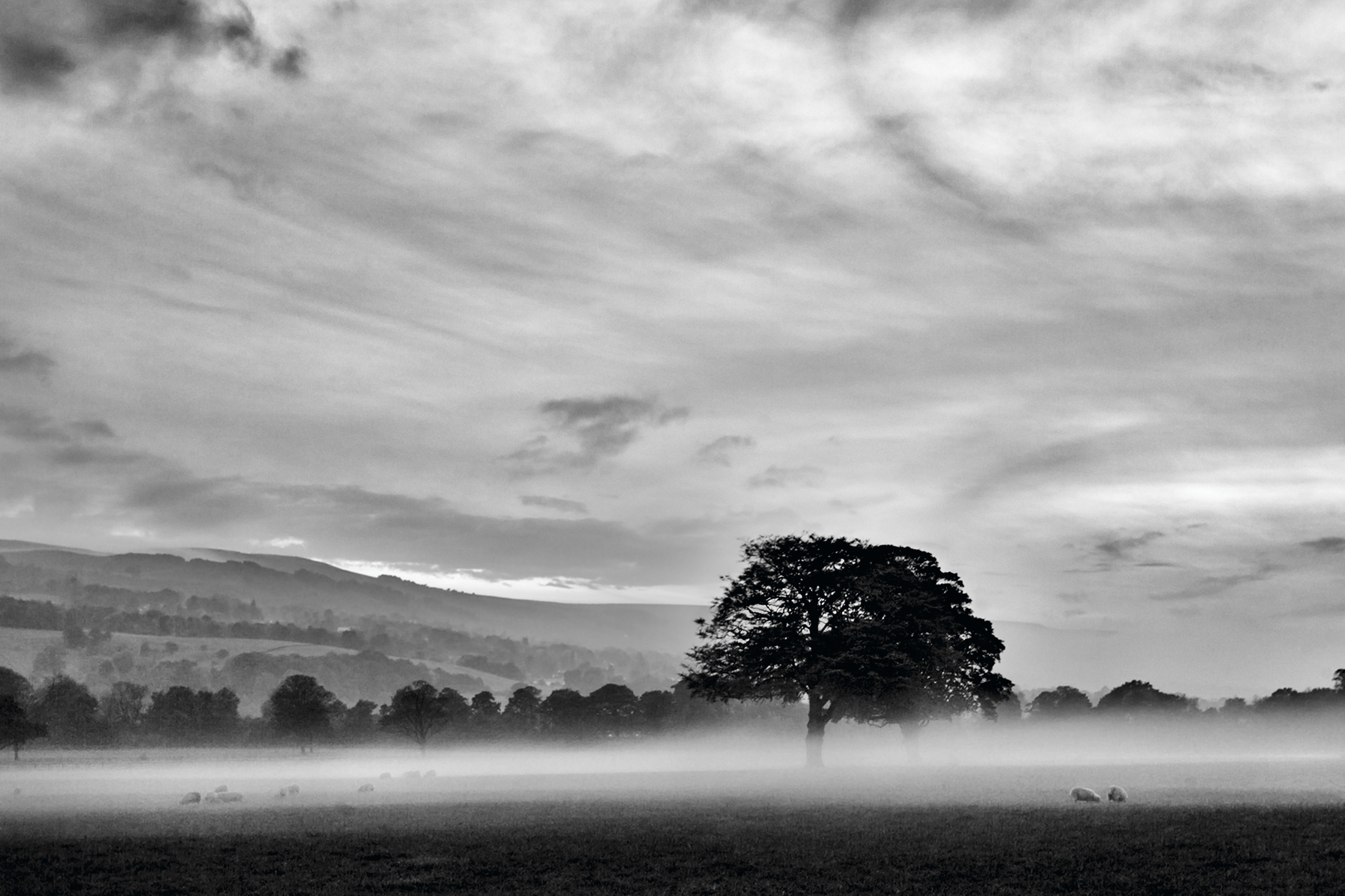Alpen Home Misty Weather IV - Wrapped Canvas Photograph | Wayfair.co.uk