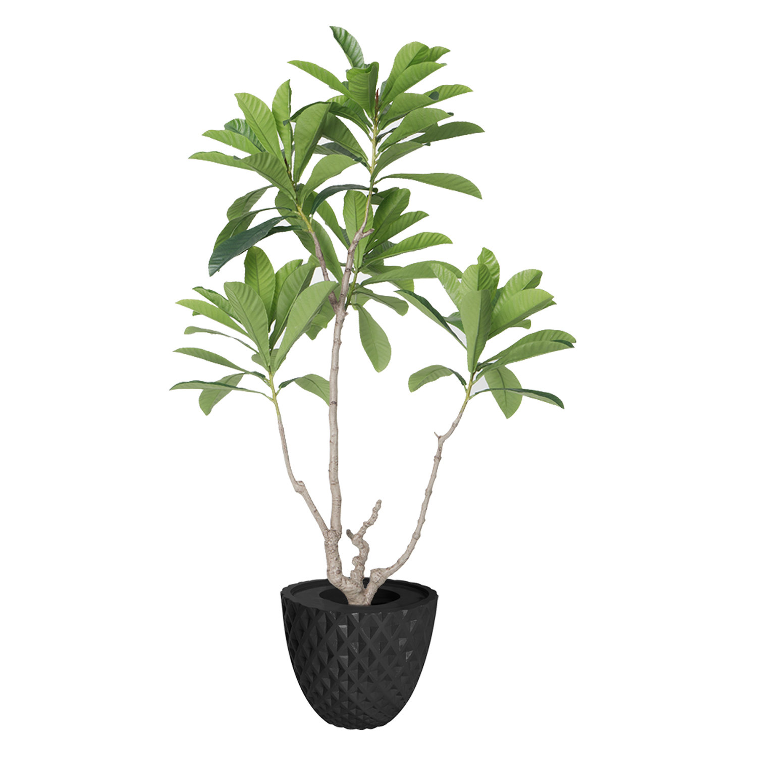 Vintage Home 75.6"H Vintage Real Touch Japanese Blueberry Tree, Indoor ...