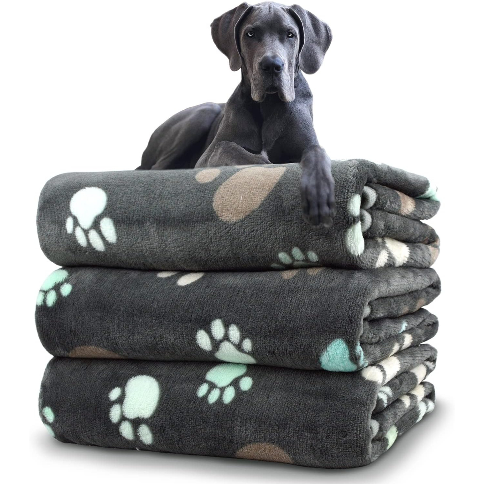 ToccoLeggero Animal Print Pet Blanket - Wayfair Canada