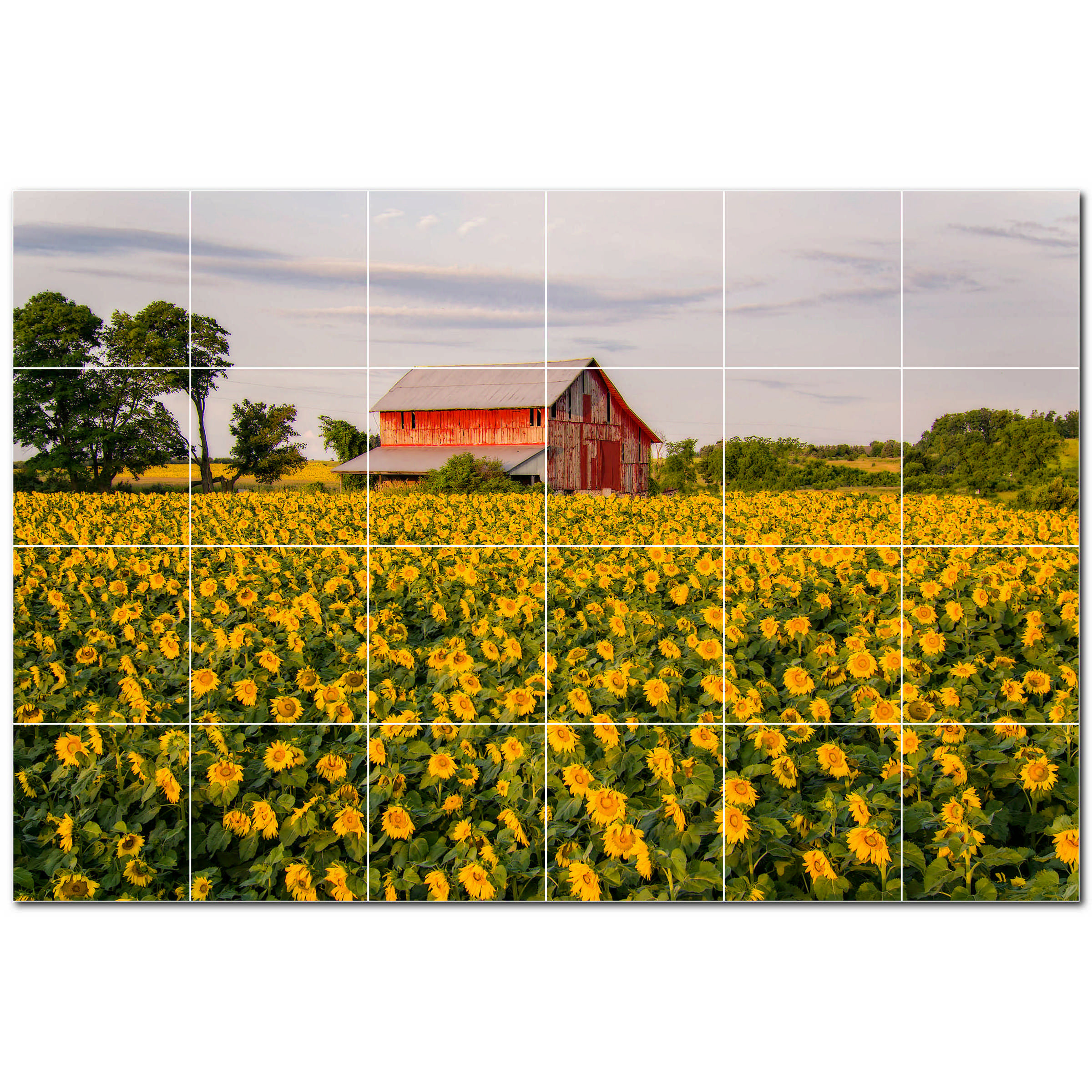 Picture-Tiles.com 40" x 32" Ceramic Farm Photo Decorative Mural Tile ...