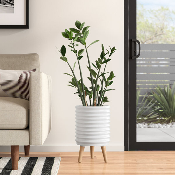 Wade Logan® Pot à fleurs en céramique Ashat et Commentaires - Wayfair ...