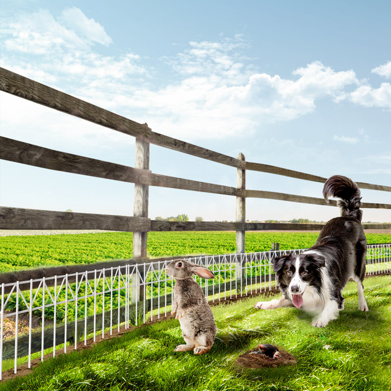 EFPerfect 15'' H x 24'' W Animal Anti-digging Barrier Fence Rustproof ...