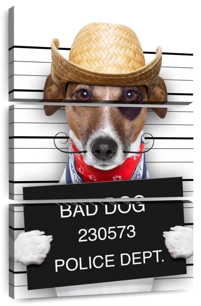 Ebern Designs Brampt Bad Dog Mugshot | Wayfair