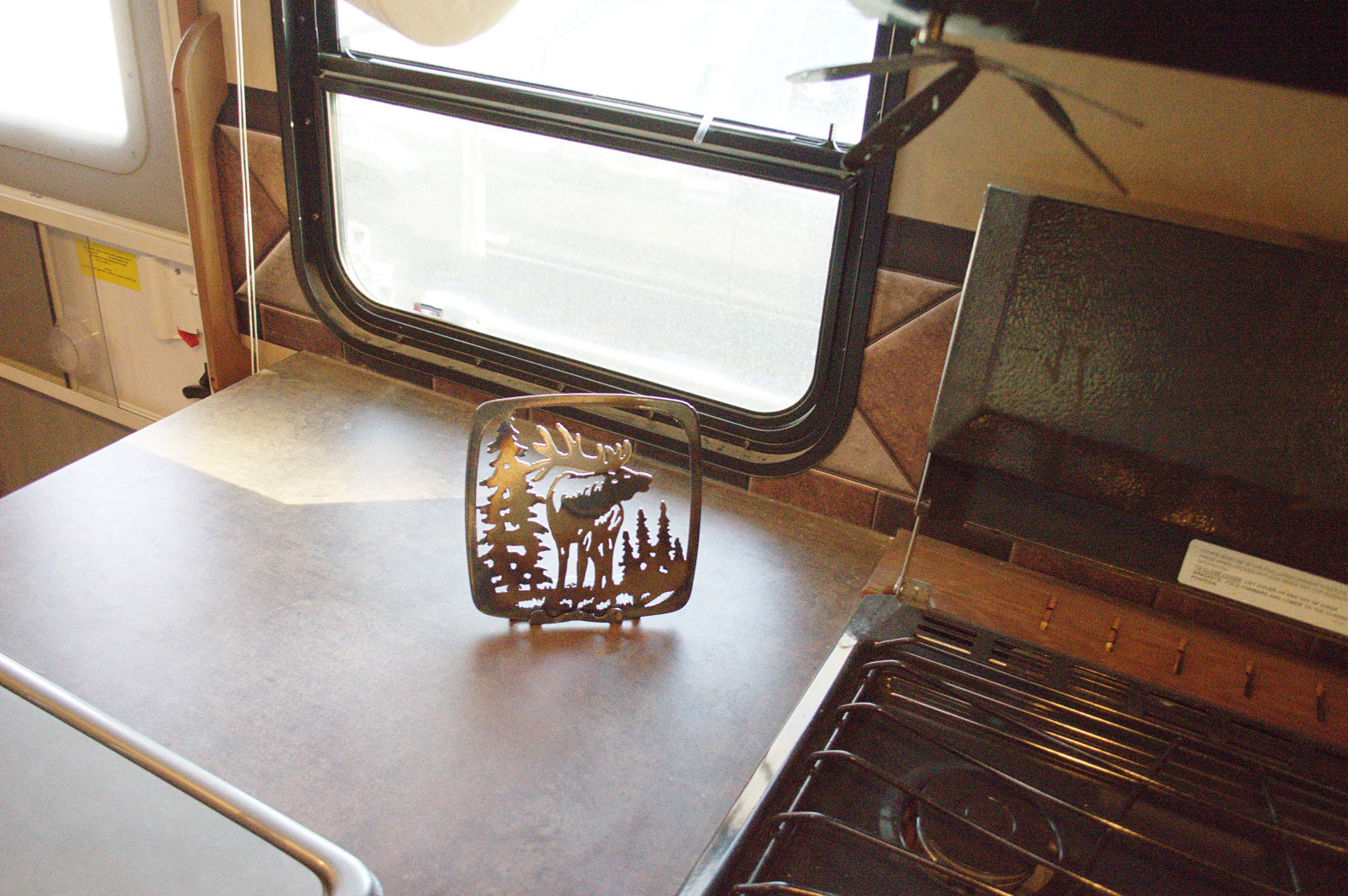 Millwood Pines ELK FACING FORWARD Gissela WITH DISPLAY STAND | Wayfair