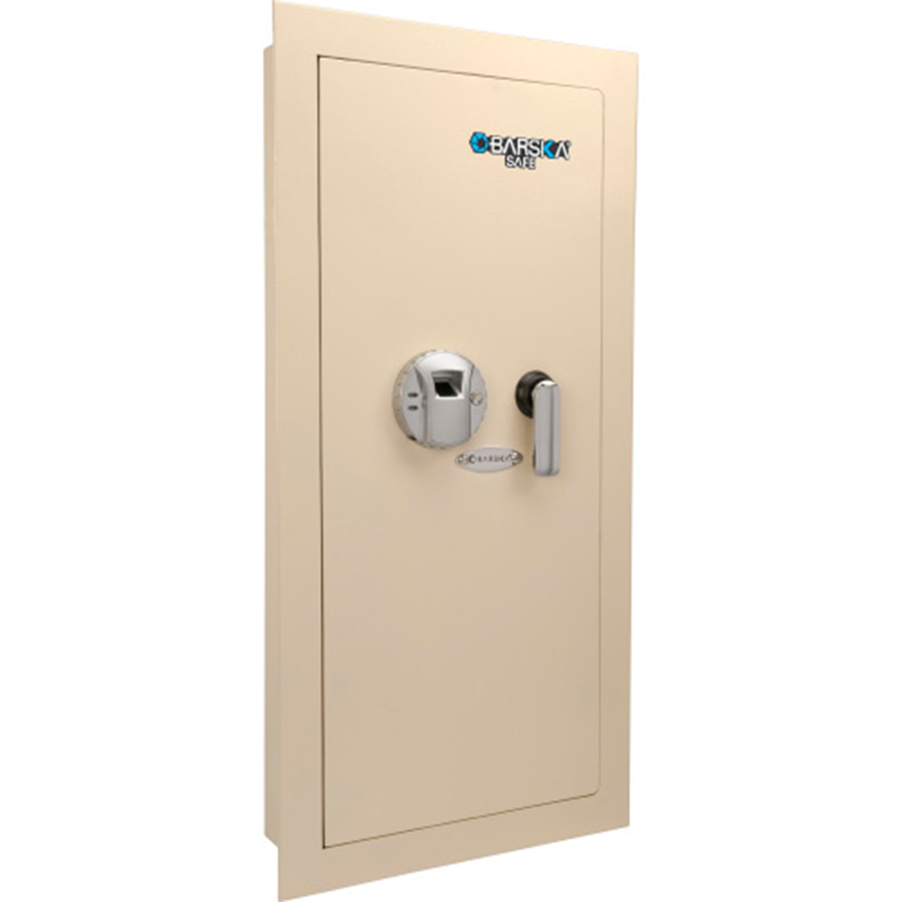 DAMALU Biometric Wall Safe – Discreet Security | Wayfair