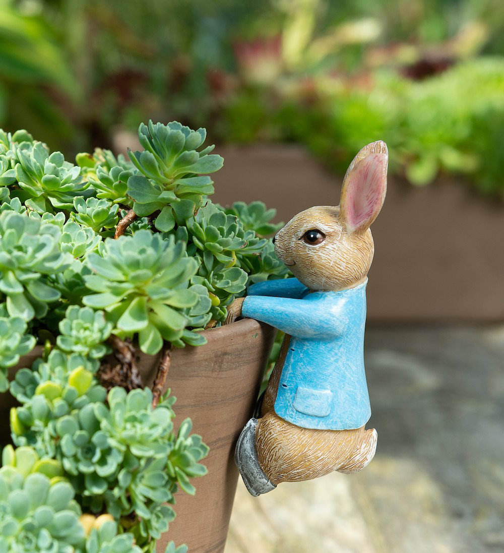 Jardinopia Beatrix Potter Peter Rabbit Climbing Pot Statue & Reviews ...