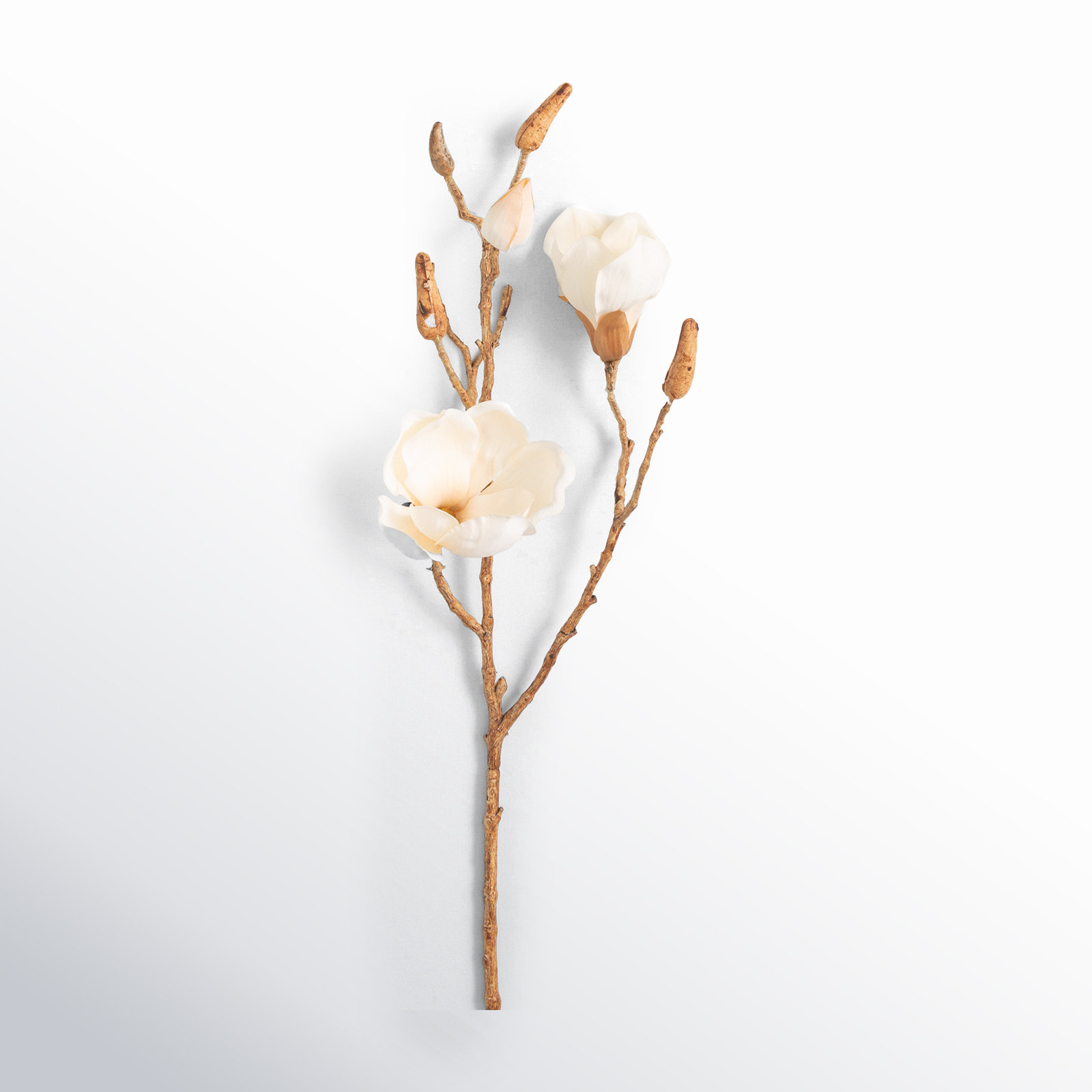 AllModern Magnolia Sprays - Wayfair Canada
