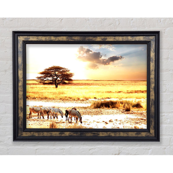 Bright Star Herd Of Zebras - Single Picture Frame Art Prints | Wayfair ...