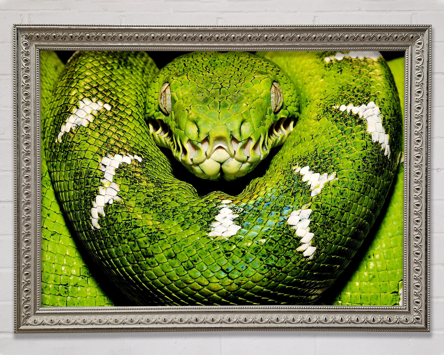 Ebern Designs The Serpent - Single Picture Frame Art Prints | Wayfair.co.uk
