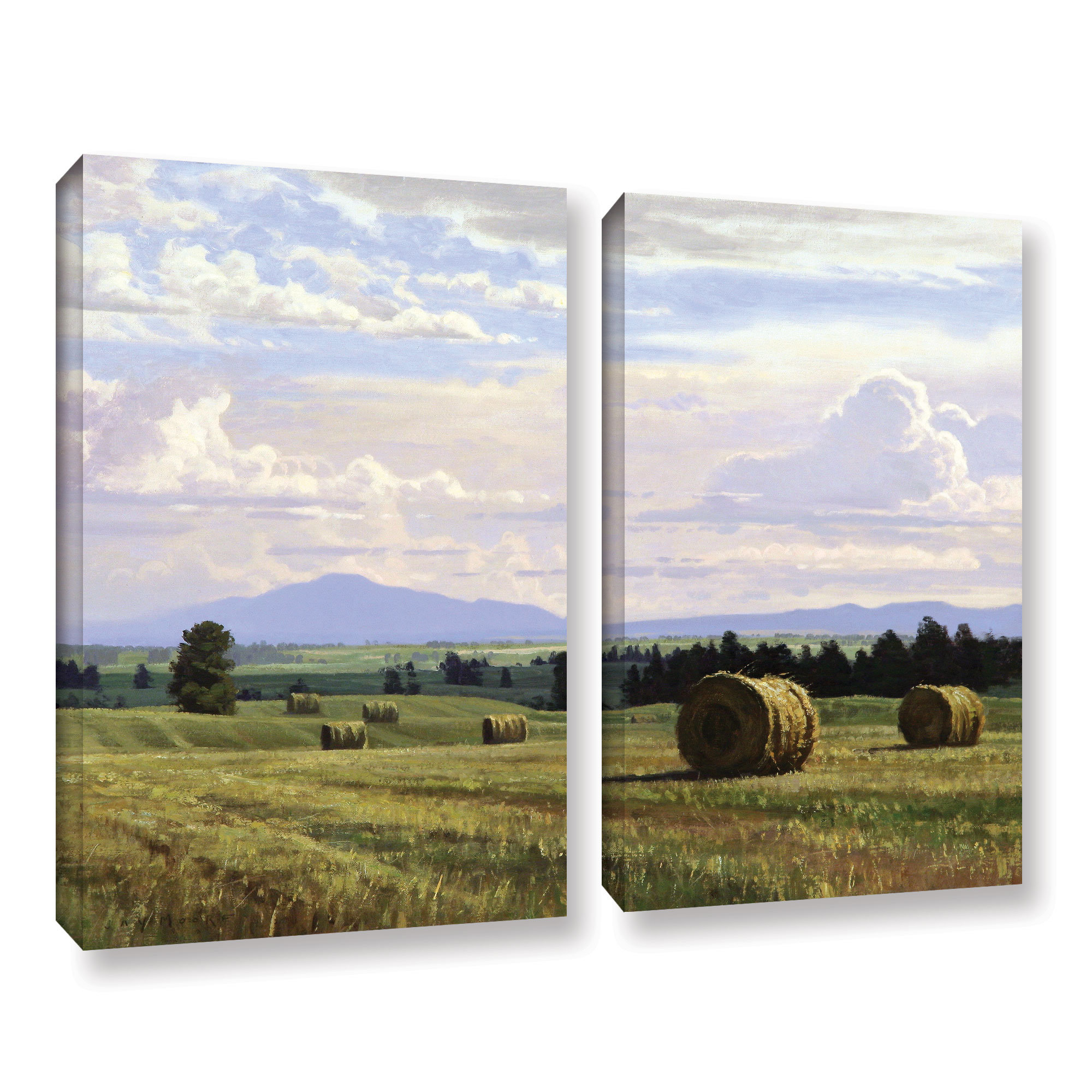 Darby Home Co 'Fresh Cut Hay' 2 Piece Painting Print on Wrapped Canvas ...