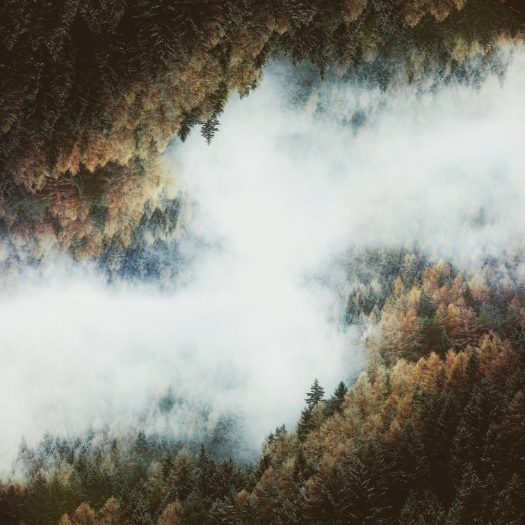 Loon Peak® " Forest Layers " by Luke Gram | Wayfair