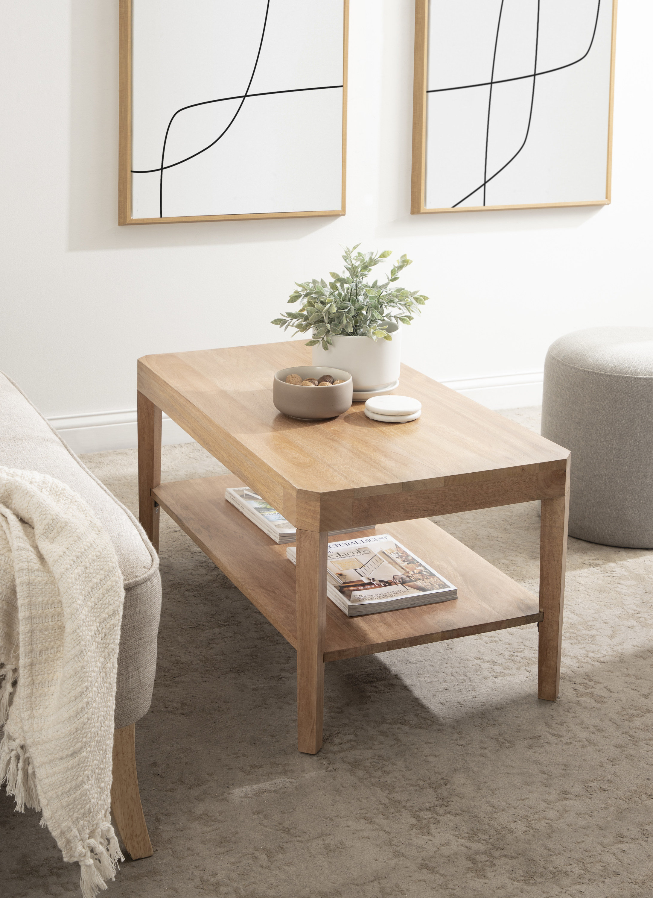 Birch Lane™ Ardentown Solid Wood Frame Coffee Table with Storage ...