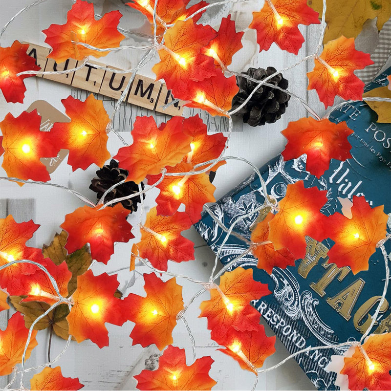 The Holiday Aisle® Maple Leaves String Lights Fall Decor & Reviews ...