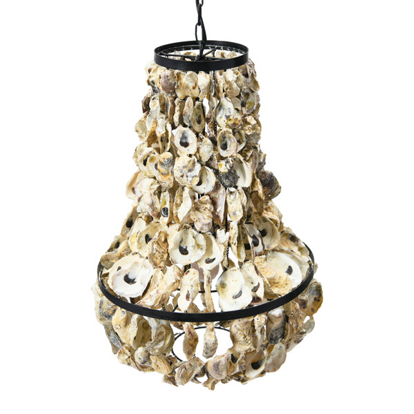 Highland Dunes Paradiso Metal and Draped Oyster Shell Chandelier ...