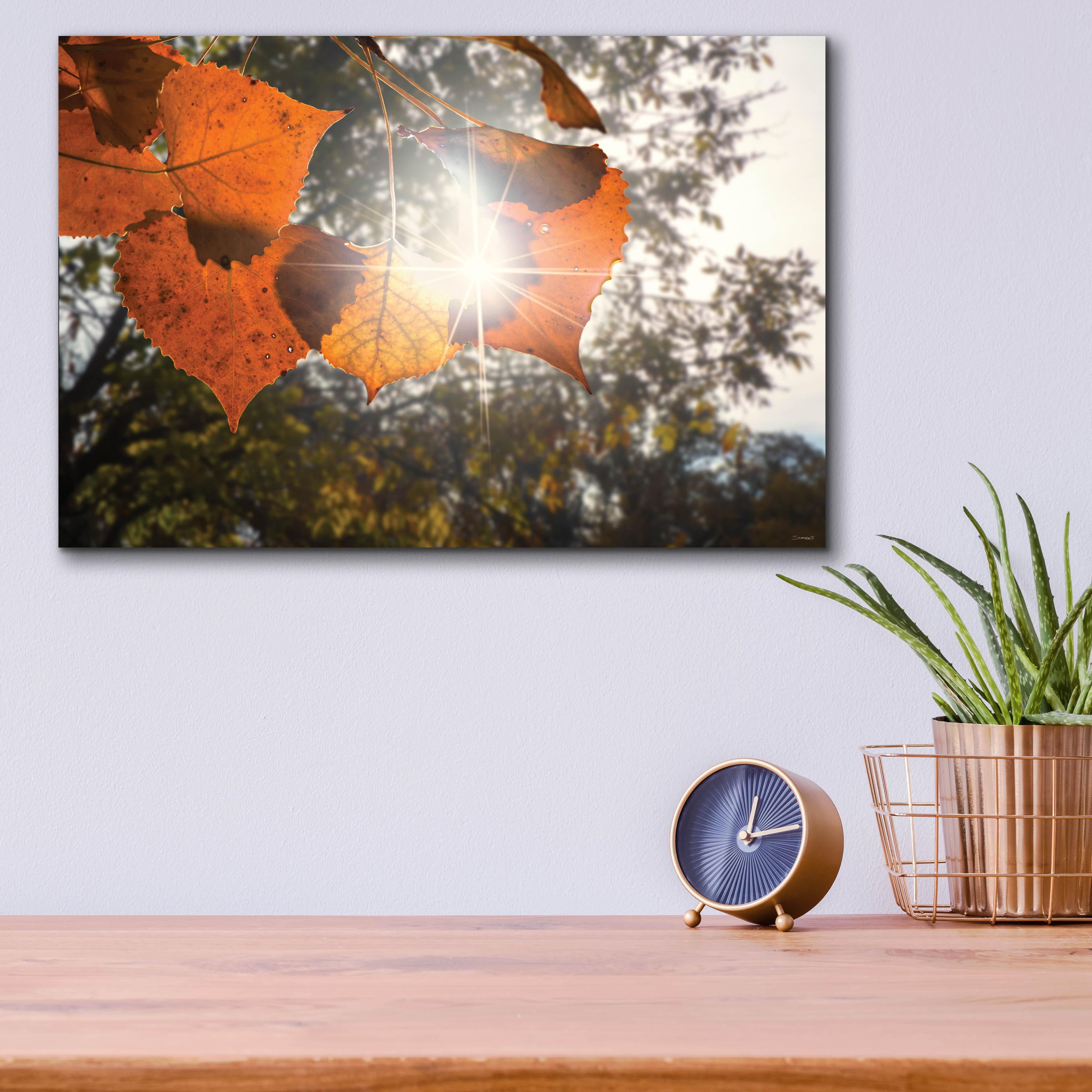 Latitude Run® Autumn 22' by Gordon Semmens Acrylic Glass Wall Art | Wayfair