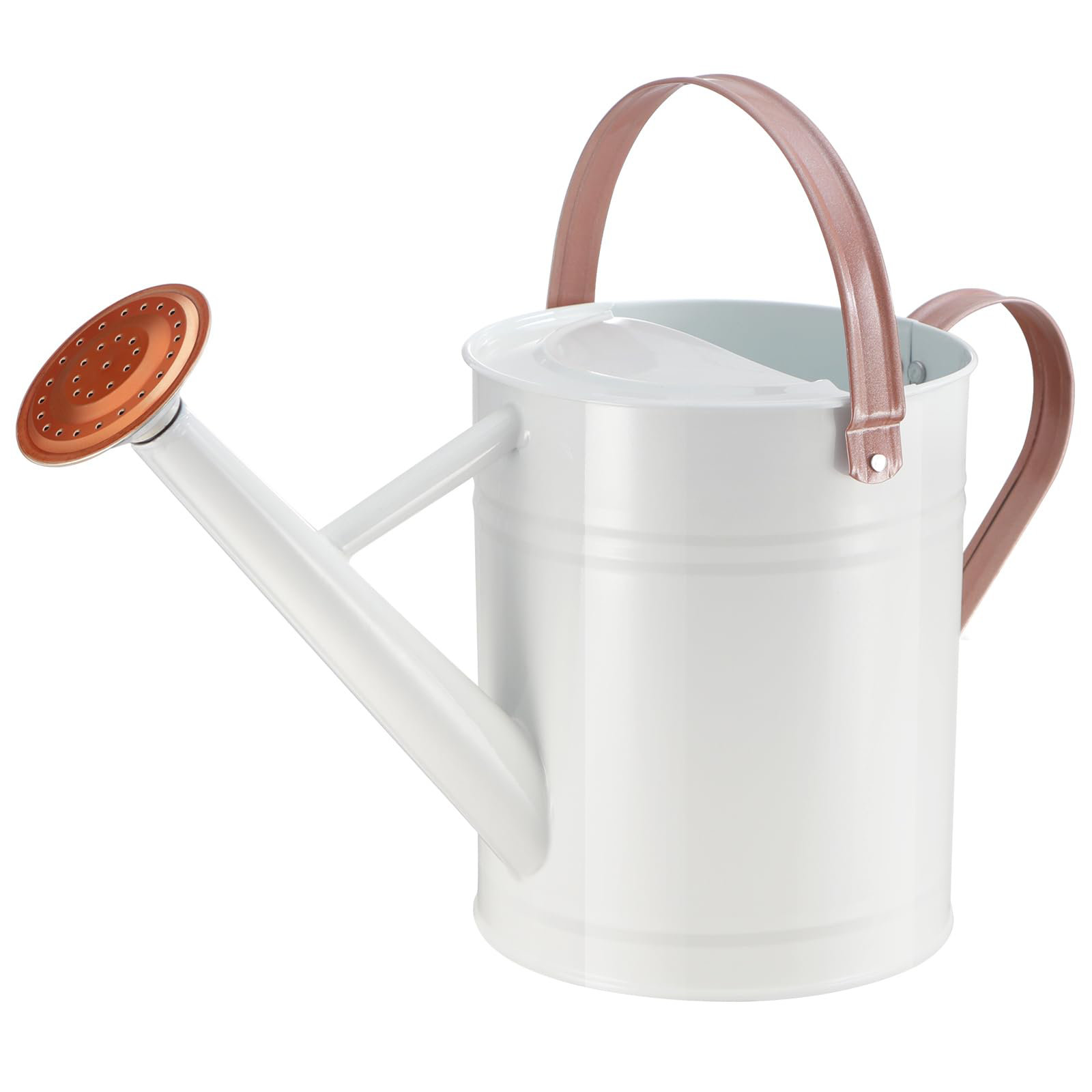 Porisen 1 Gallon Flower Garden Metal Watering Can - Wayfair Canada