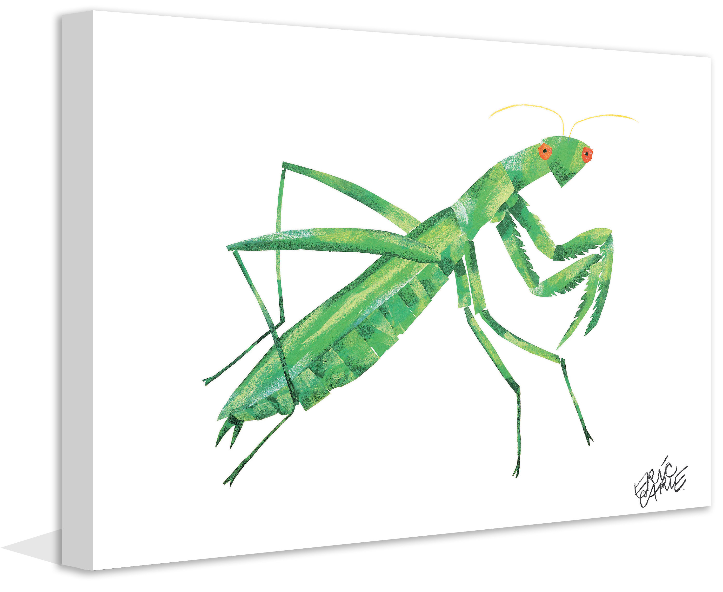 Marmont Hill Mantis by Eric Carle Print on Wrapped Canvas | Wayfair