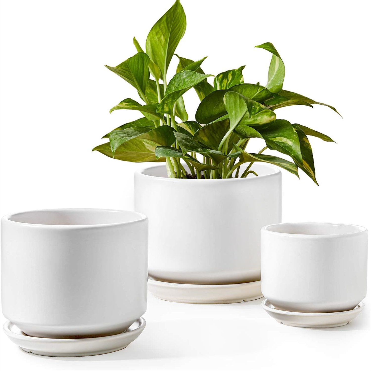 Latitude Run® Ceramic Plant Pots, Set of 3, Planters with Drainage Hole ...