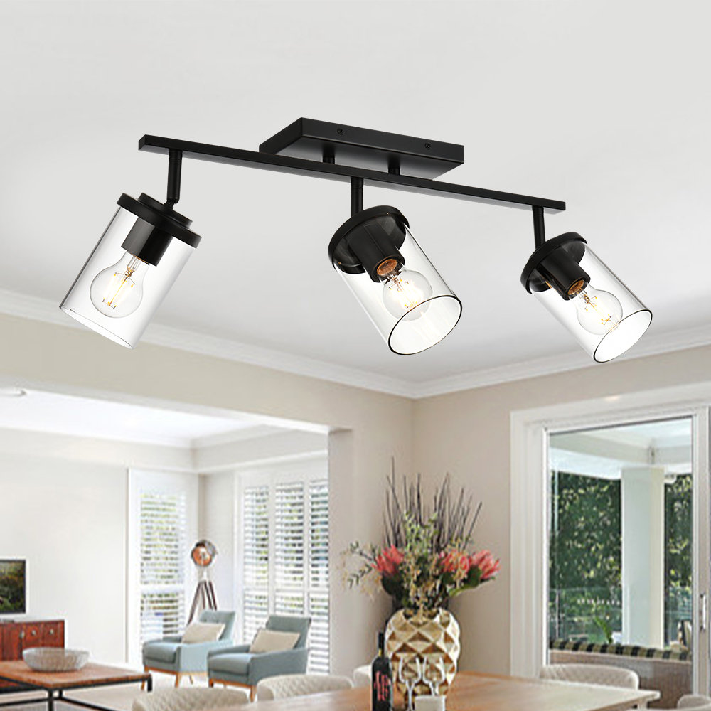 Breakwater Bay Industrial Vintage Indoor Wall Mount Spotlight 3 Light ...