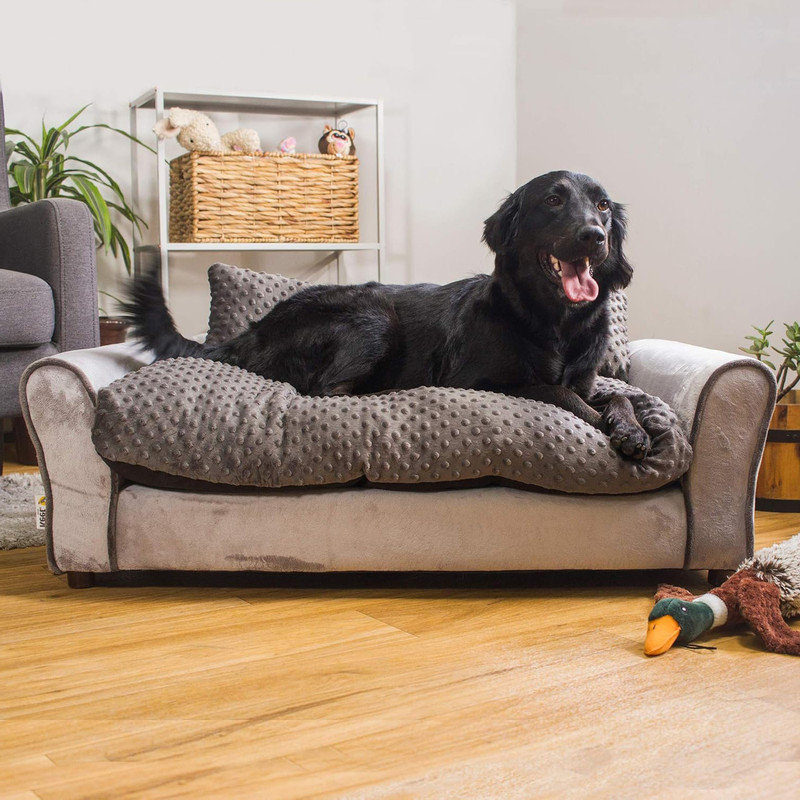 AMIZOY Pet Sofa Bed,for Small Medium Dogs,with Removable Washable Cover ...