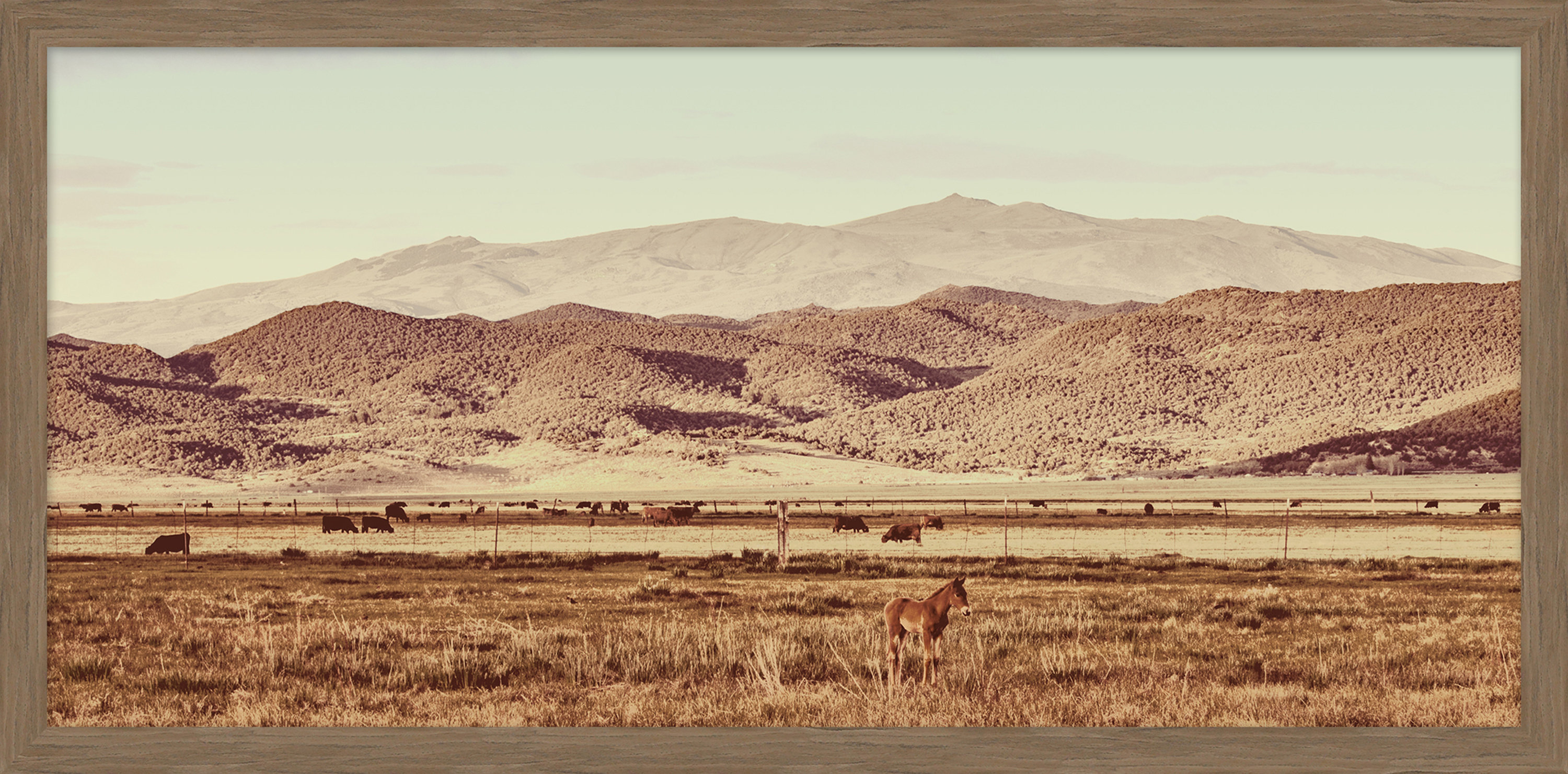 Wendover Art Group Turner Ranch 2 by Nathan Turner - Picture Frame ...