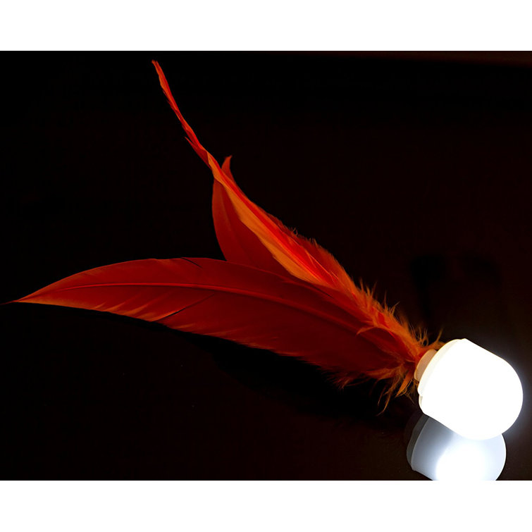 Kovot 7 Piece Beach Badminton Set & Reviews | Wayfair