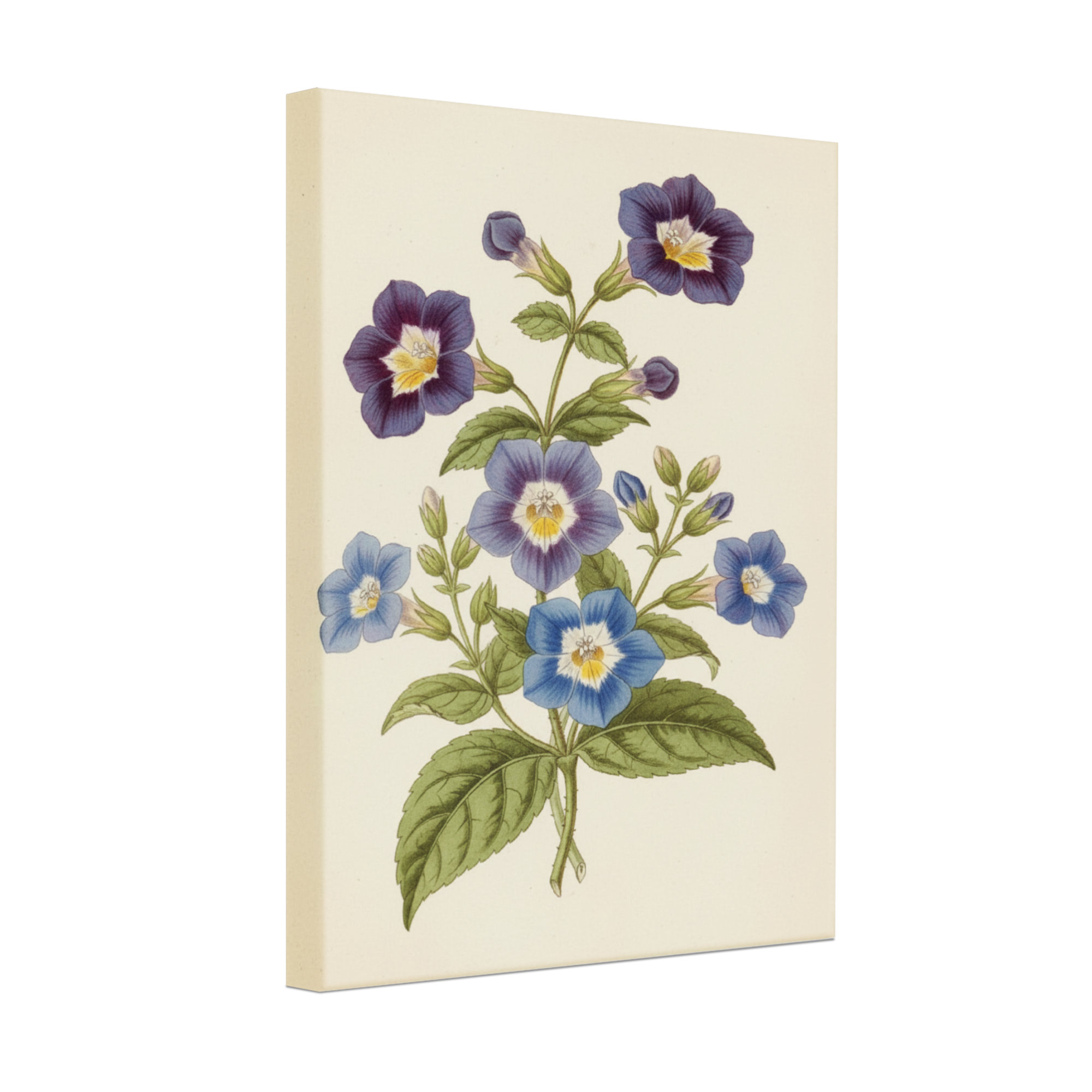 Canora Grey Plants & Flowers Blue And Purple Flowers With Green Leaves ...