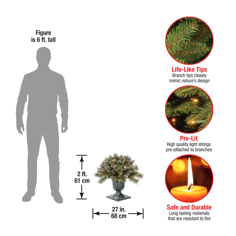 The Holiday Aisle® 24" Glittery Bristle Pine Porch Bush with Twinkly ...