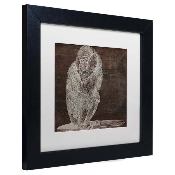 Trademark Art « singe » par impression encadrée Color Bakery - Wayfair ...