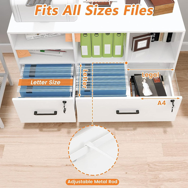 Hokku Designs Ashira 2-Drawer Mobile Lateral Filing Cabinet & Reviews ...