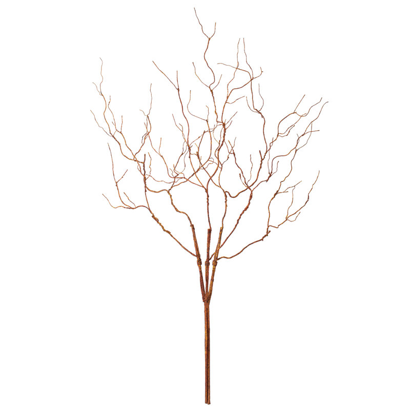Primrue 63" Twig Branch & Reviews | Wayfair