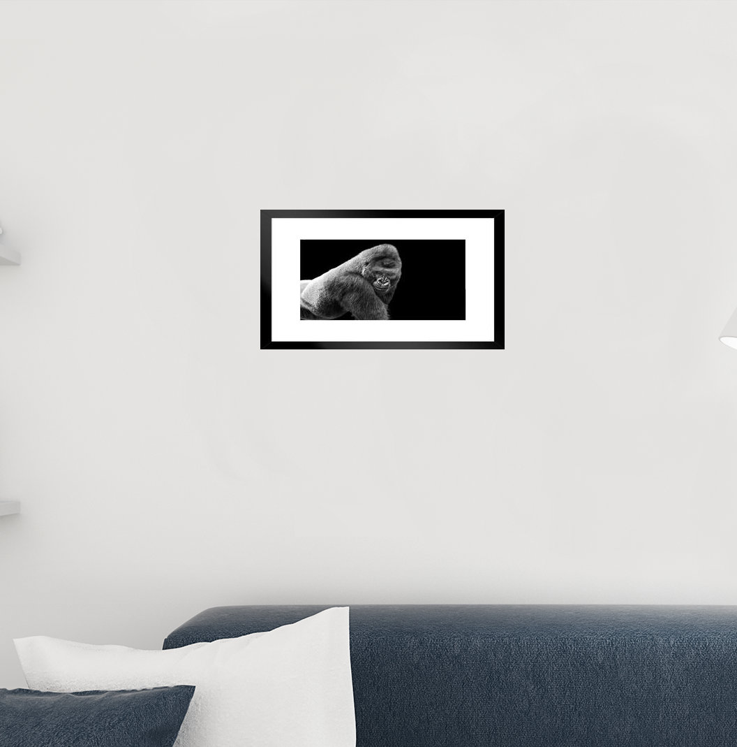 Latitude Run® Adult Gorilla Staring Portrait Photo Pictures Of Gorillas ...