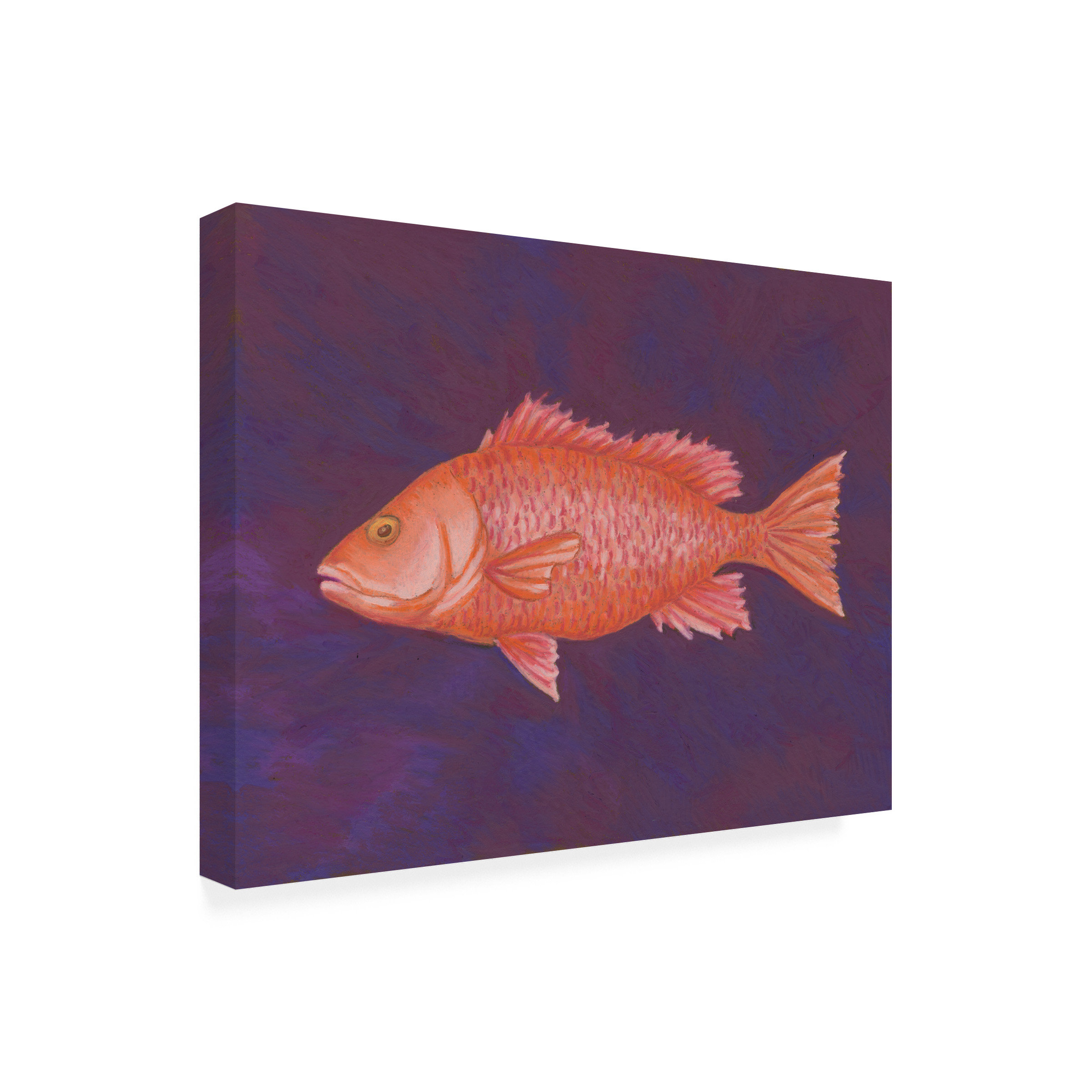 Highland Dunes Andrea Strongwater Fish Red Snapper Canvas Art | Wayfair