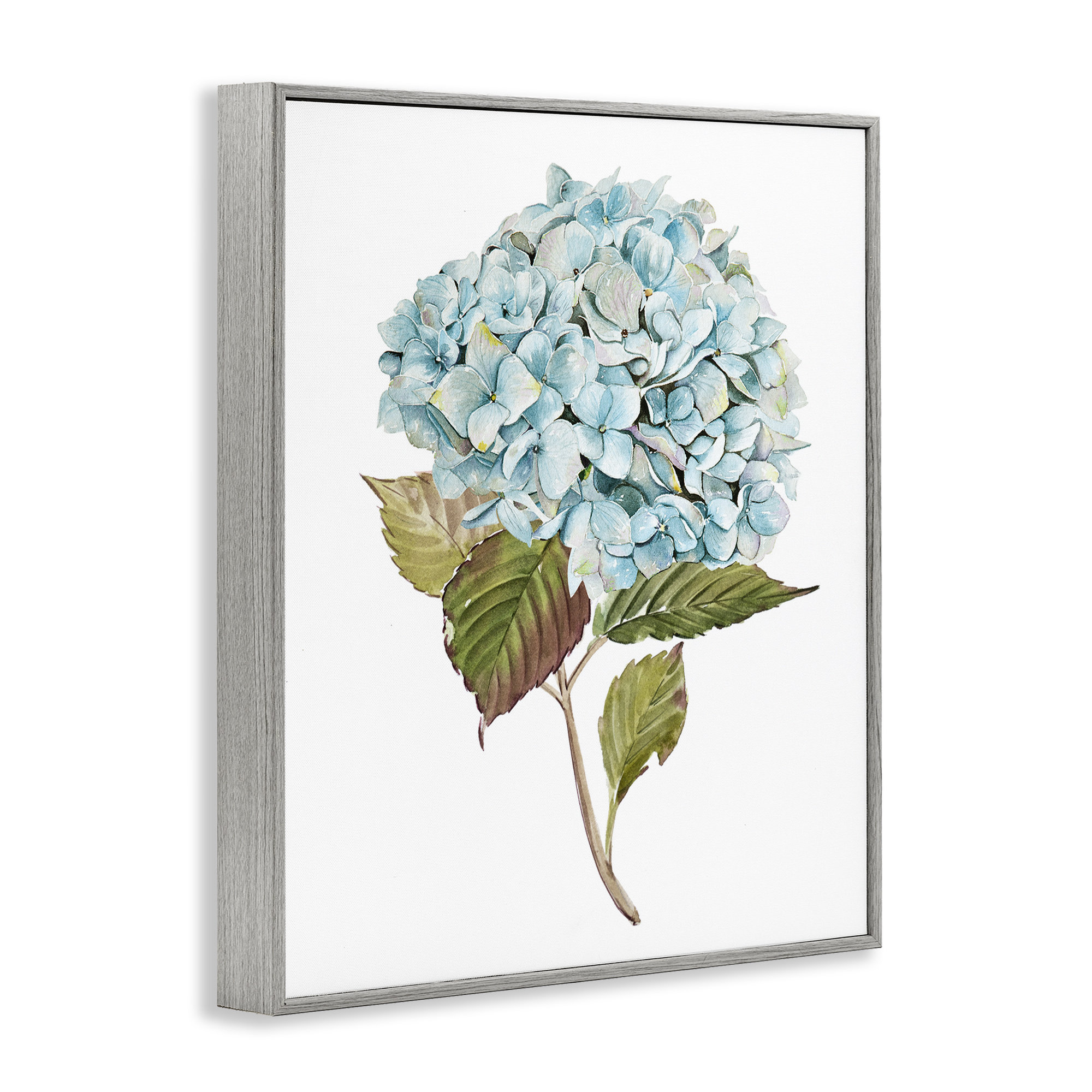 Ophelia & Co. Simple Hydrangea Bud Art by Enya Todd bg-170 | Wayfair