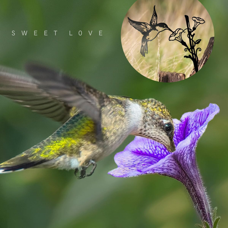 Lark Manor™ Metal Birds Wall Art | Wayfair