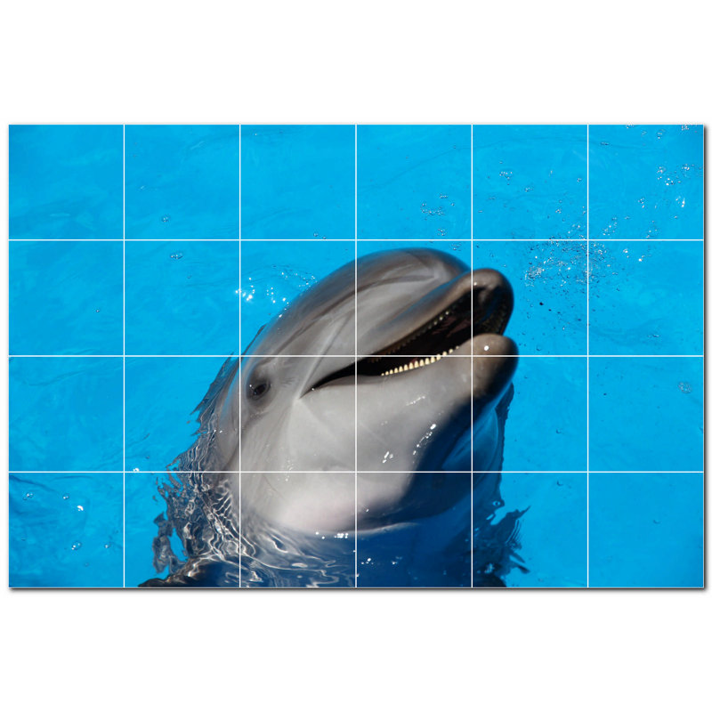 Picture-Tiles.com Dolphin Photo 8'' x 8'' Satin Ceramic Decorative ...