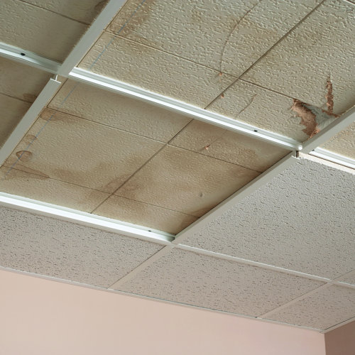 CeilingMAX 100sq ft Surface Mount Grid Kit & Reviews | Wayfair